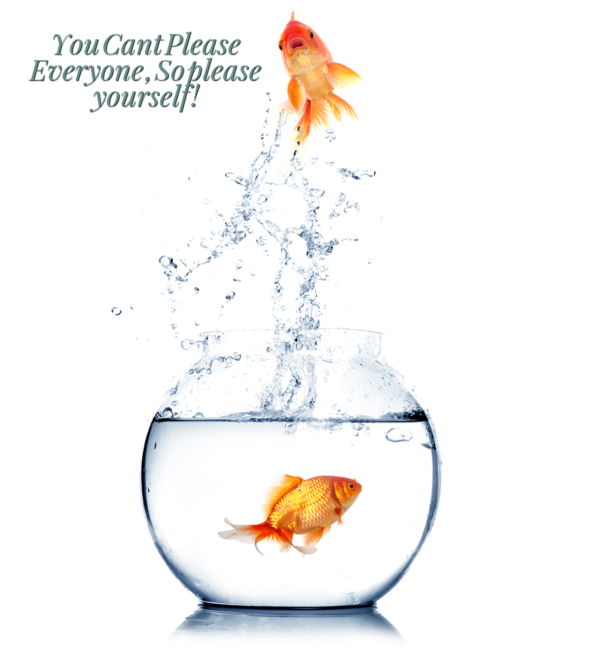 Please Yourself - Orlando Espinosa